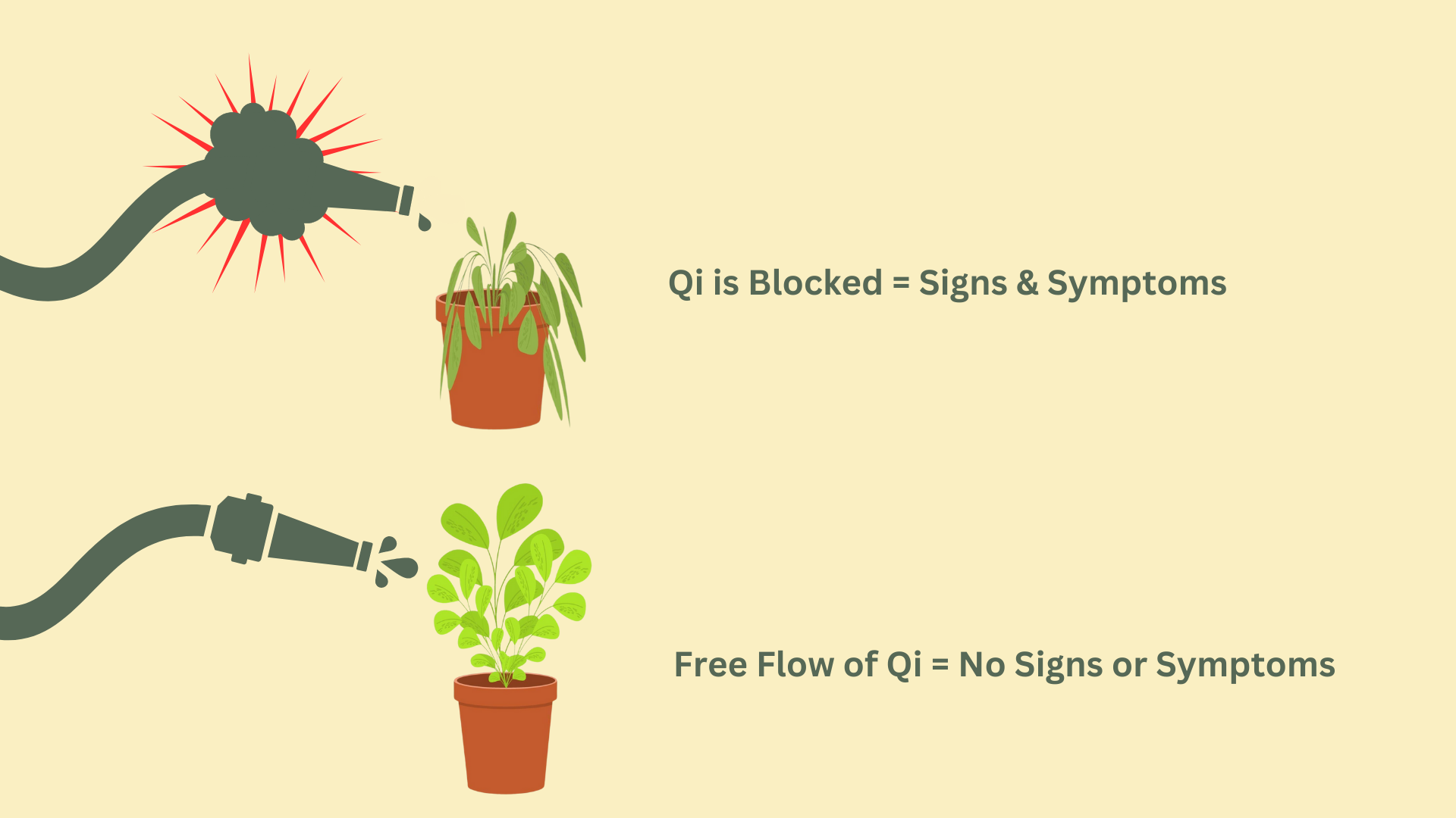 Acupuncture – Elixir Acupuncture & Herbal Medicine Center